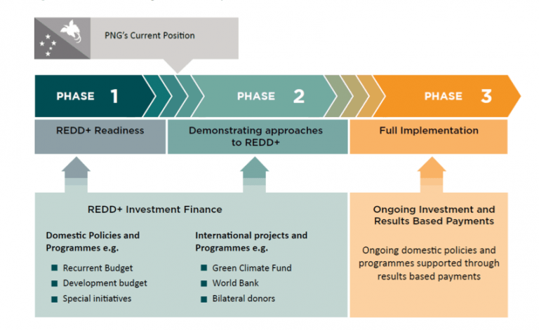 National REDD+ Fund and Financing - PNG REDD+