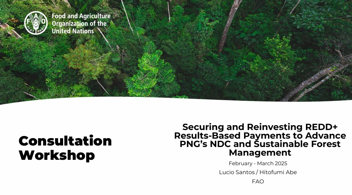 (FAO, 2025) - Securing & Reinvesting REDD+ RBP to Advance PNG's ...