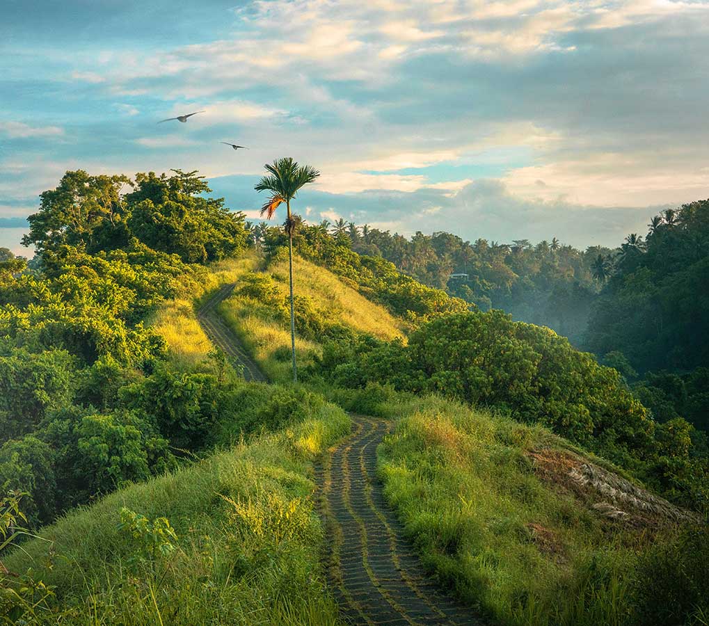 (CCDA, 2021) - PNG Revised Enhanced NDC 2020 Implementation Plan 2021 ...